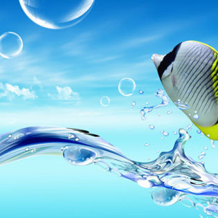 Fish and Water Facebook Cover - Animals