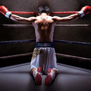 Boxing Ring Corner Facebook Cover - Hobbies