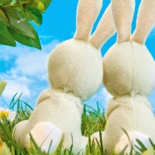 Easter Bunny Toys Together on Grass Facebook Cover - Holidays