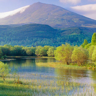 Mountain Landscape Trees Facebook Cover - Nature